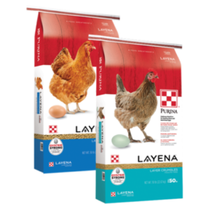 Purina Layena Pellets or Crumbles - North Fulton Feed & Seed