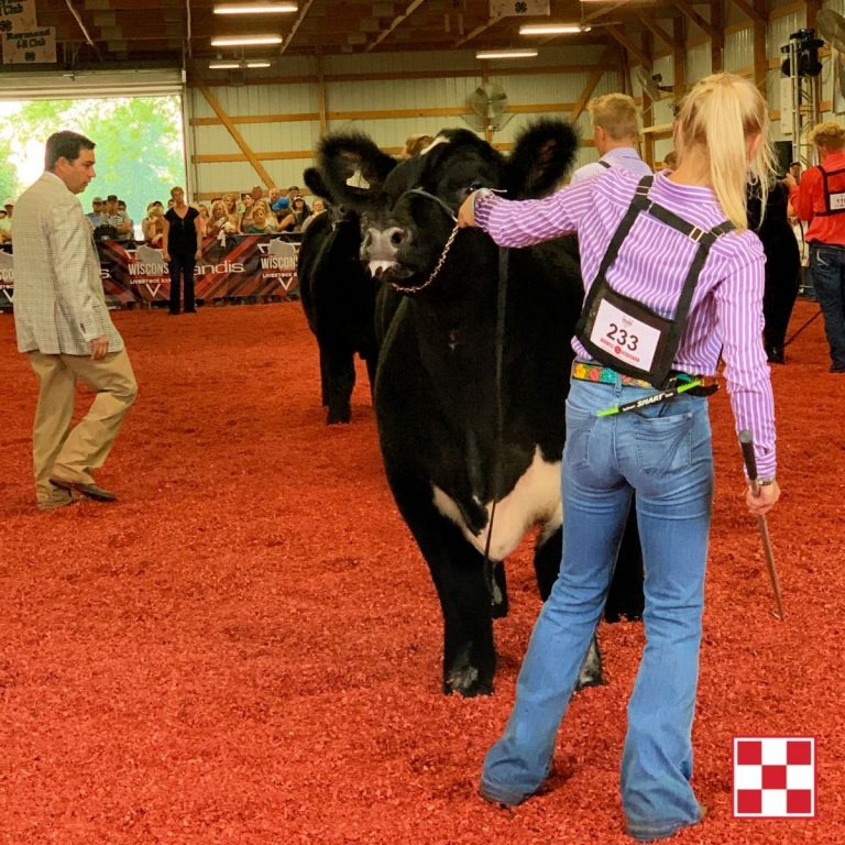 Top 5 Showmanship Tips from the Experts - North Fulton Feed & Seed