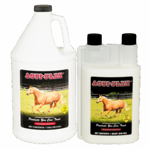 Cox Vet Labs Acti-Flex Liquid Joint Supplement - North Fulton Feed & Seed
