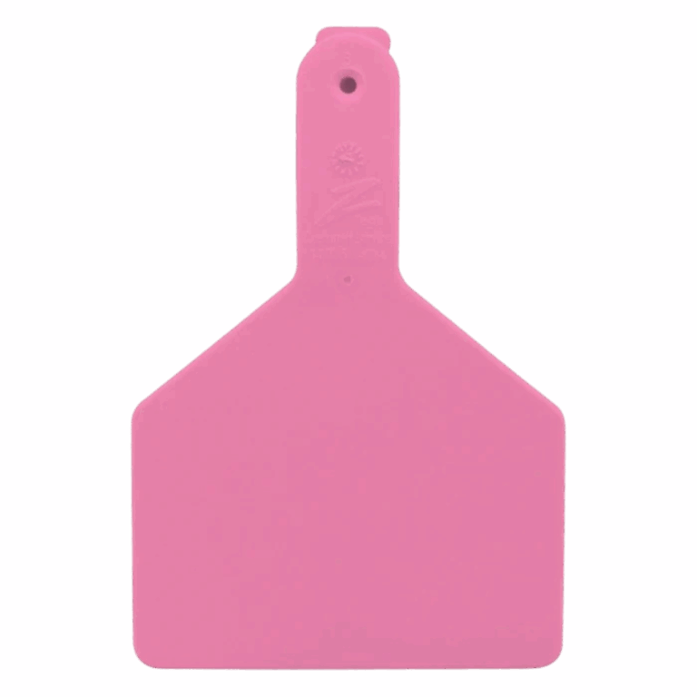 Datamars Z Tags 1-piece Pink Blank Cow Tag - North Fulton Feed & Seed